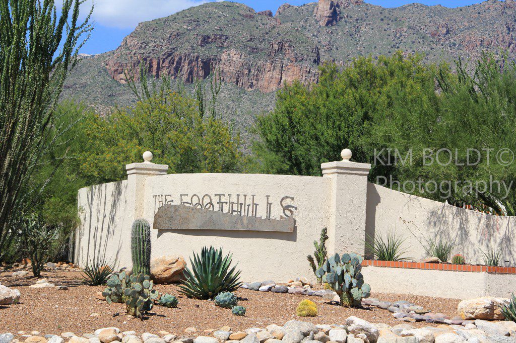 Homes for Sale Catalina Foothills in Tucson, AZ